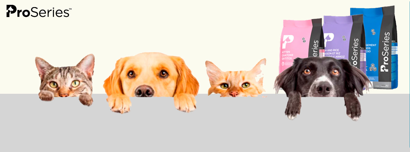 Pro Series – Proseries Mx